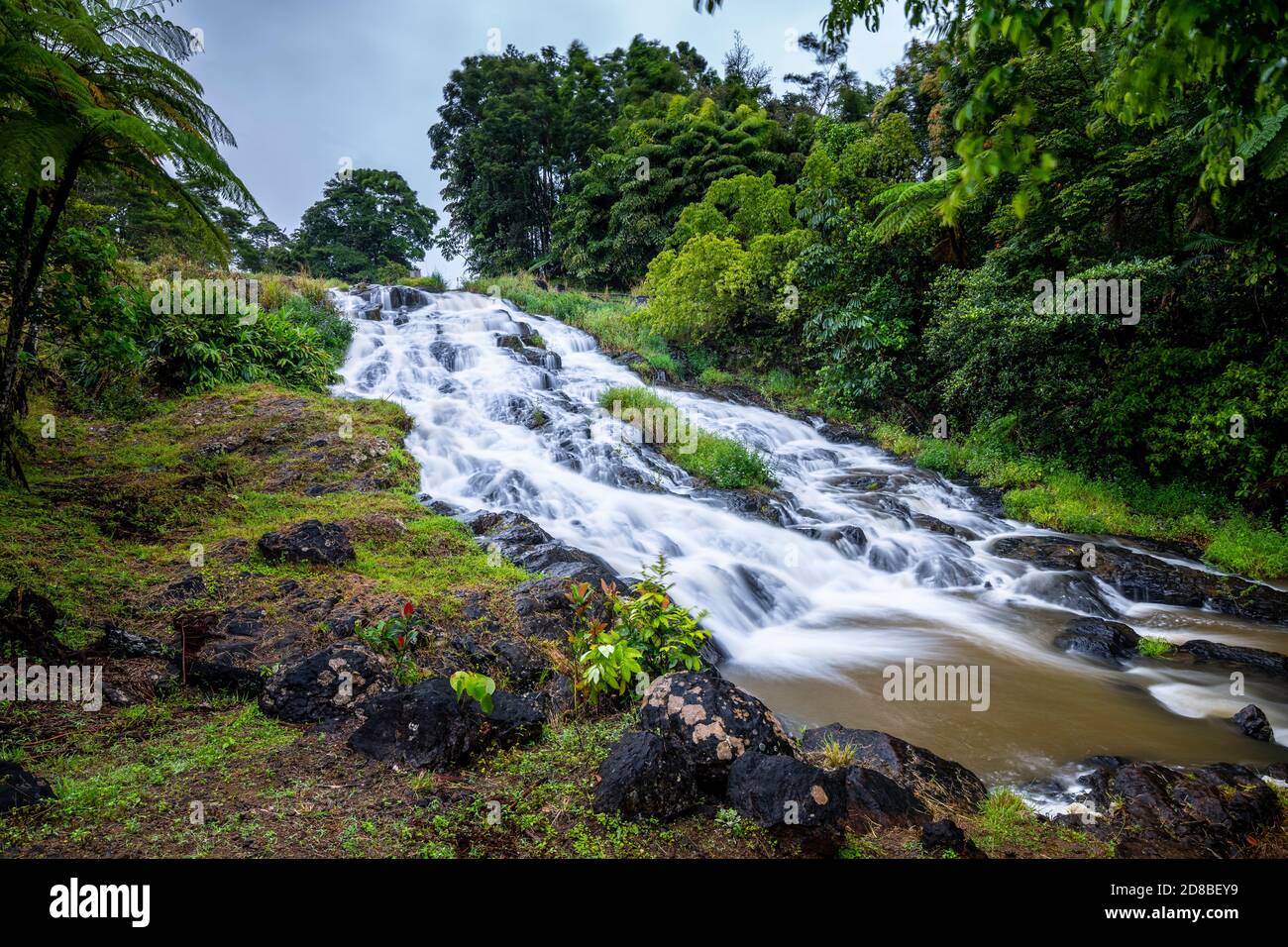 Mungalli Falls, Atherton Tablelands, North Queensland, Australia Stock ...
