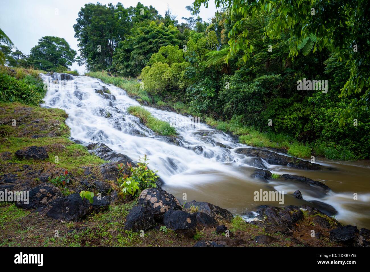 Mungalli Falls, Atherton Tablelands, North Queensland, Australia Stock ...