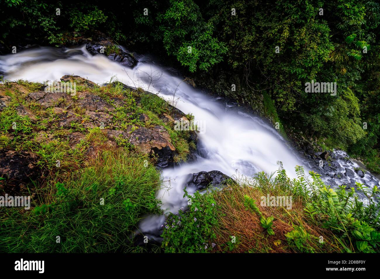 Mungalli Falls, Atherton Tablelands, North Queensland, Australia Stock ...