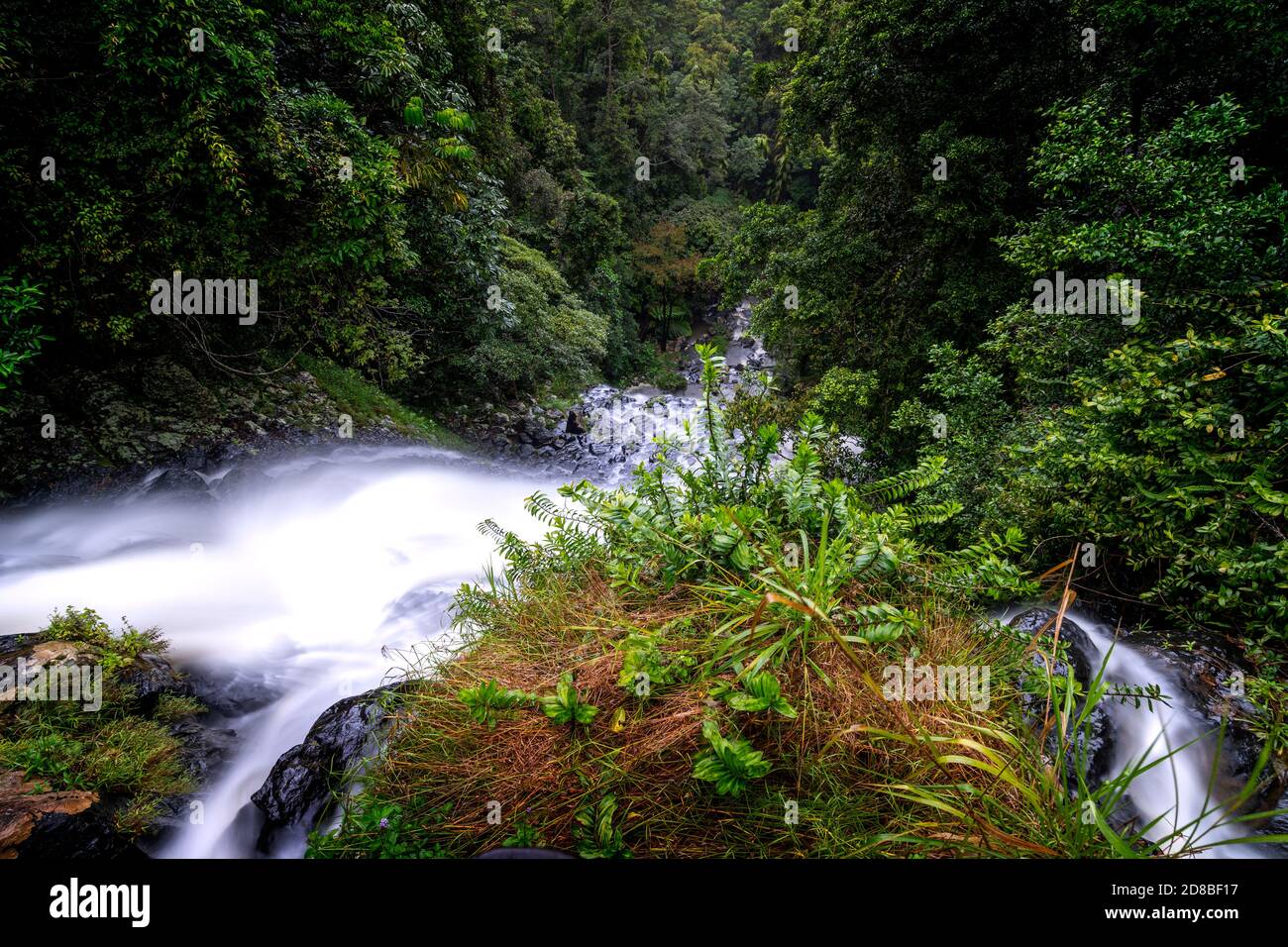 Mungalli Falls, Atherton Tablelands, North Queensland, Australia Stock ...