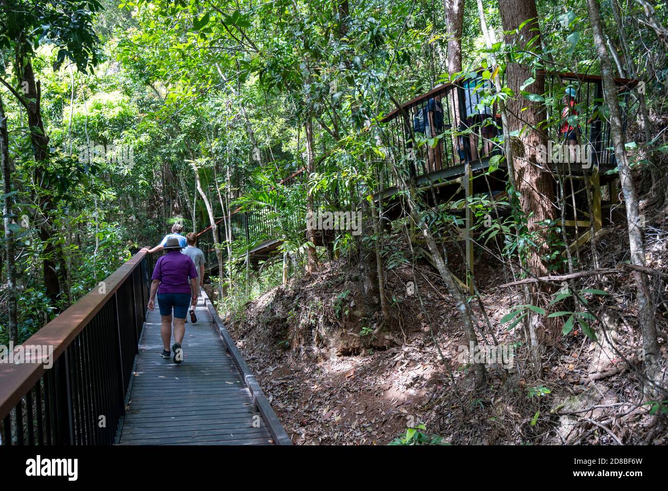 Tourist on boardwalk to Barron River Falls lookout in Barron River ...
