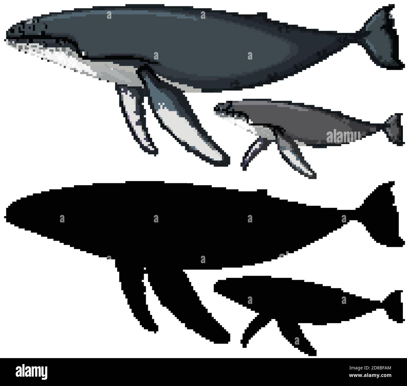 Humpback whale characters and its silhouette on white background ...