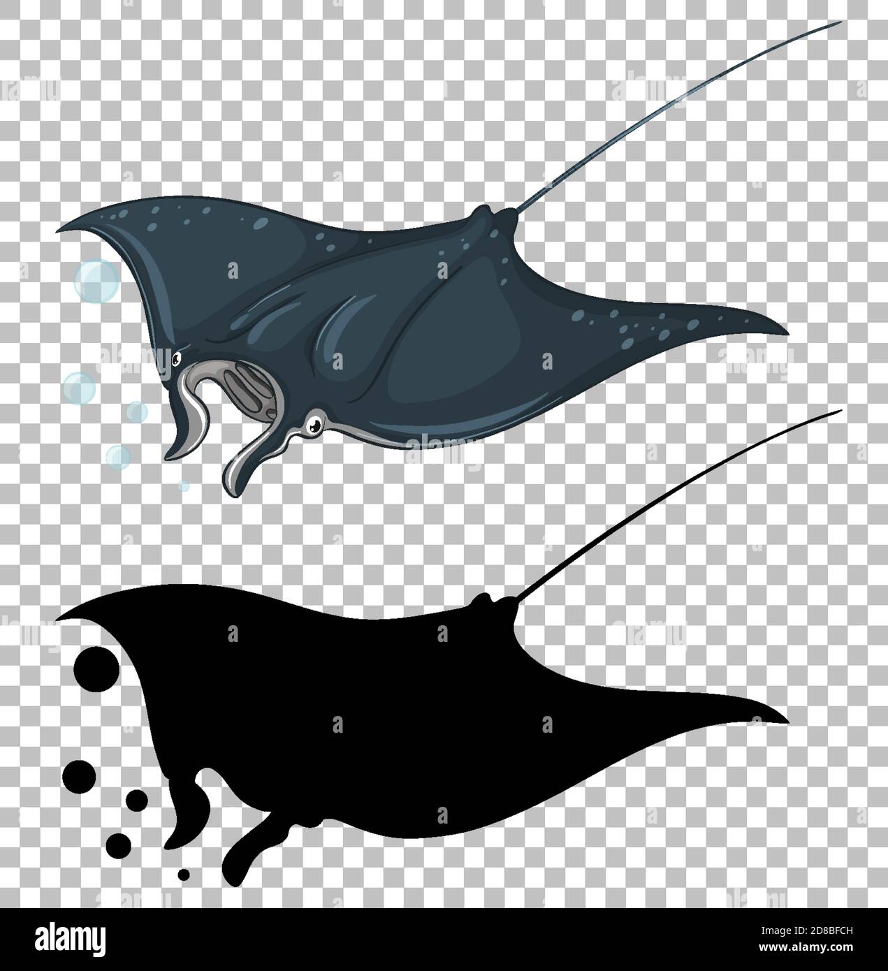 Stingray with its silhouette on transparent background illustration ...