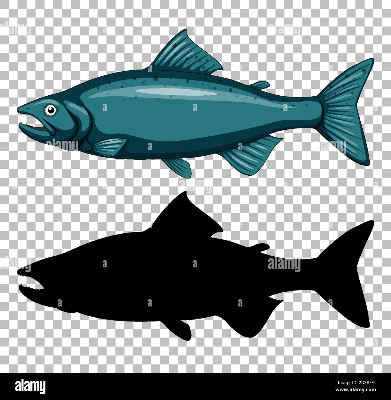 Tuna fish with its silhouette on transparent background illustration ...