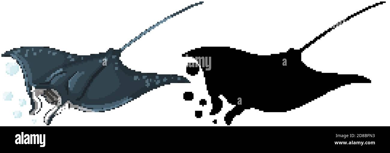 Manta ray characters and its silhouette on white background ...