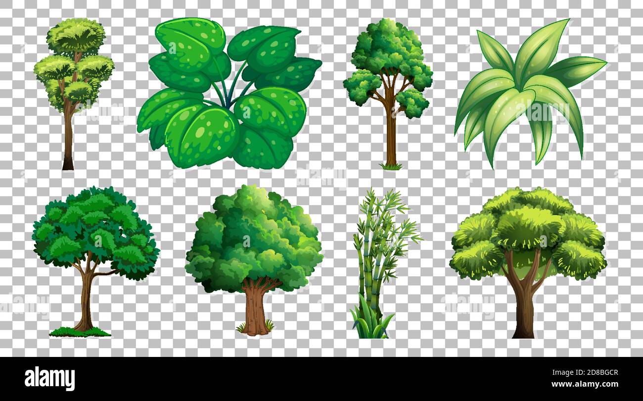 Set of tree on transparent background illustration Stock Vector Image ...