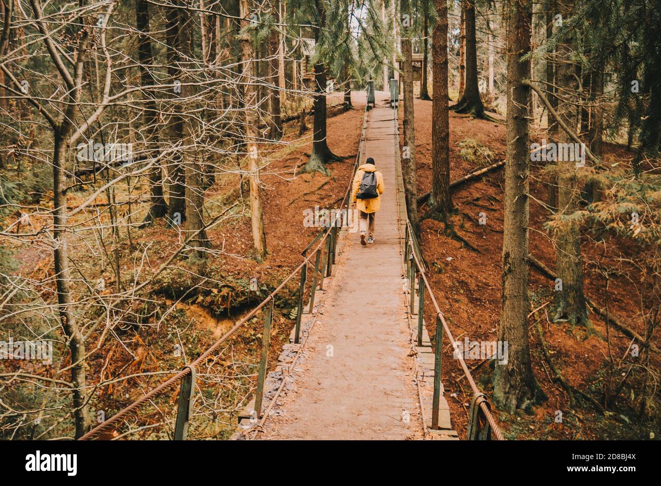 People crossing the suspension bridge Stock Photo - Alamy
