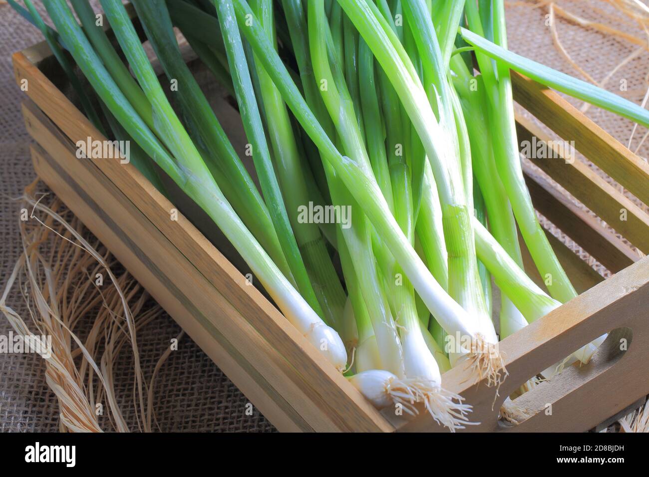 Bunch of Fresh Organic Green Onions Stock Photo - Alamy