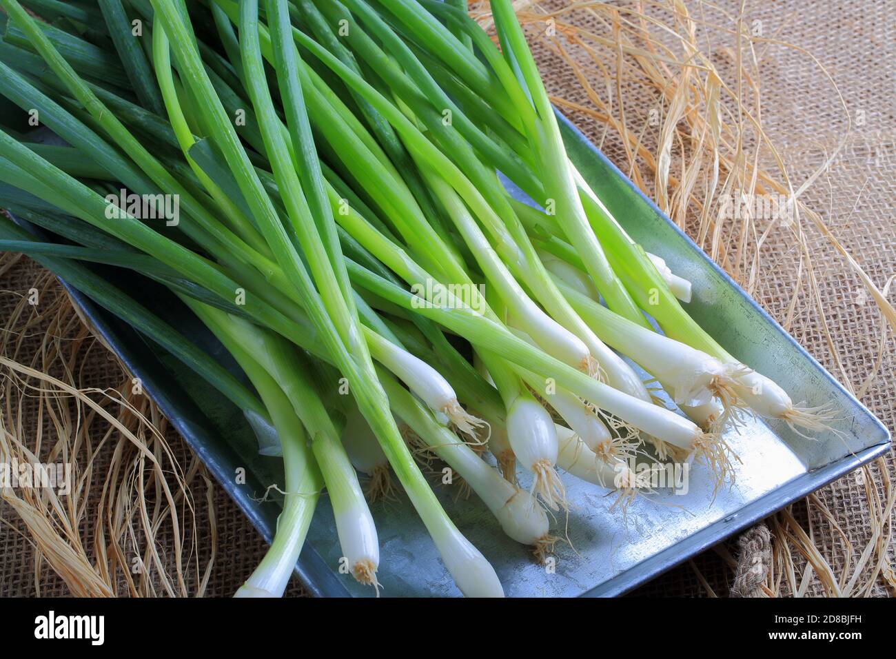 Bunch of Fresh Organic Green Onions Stock Photo - Alamy