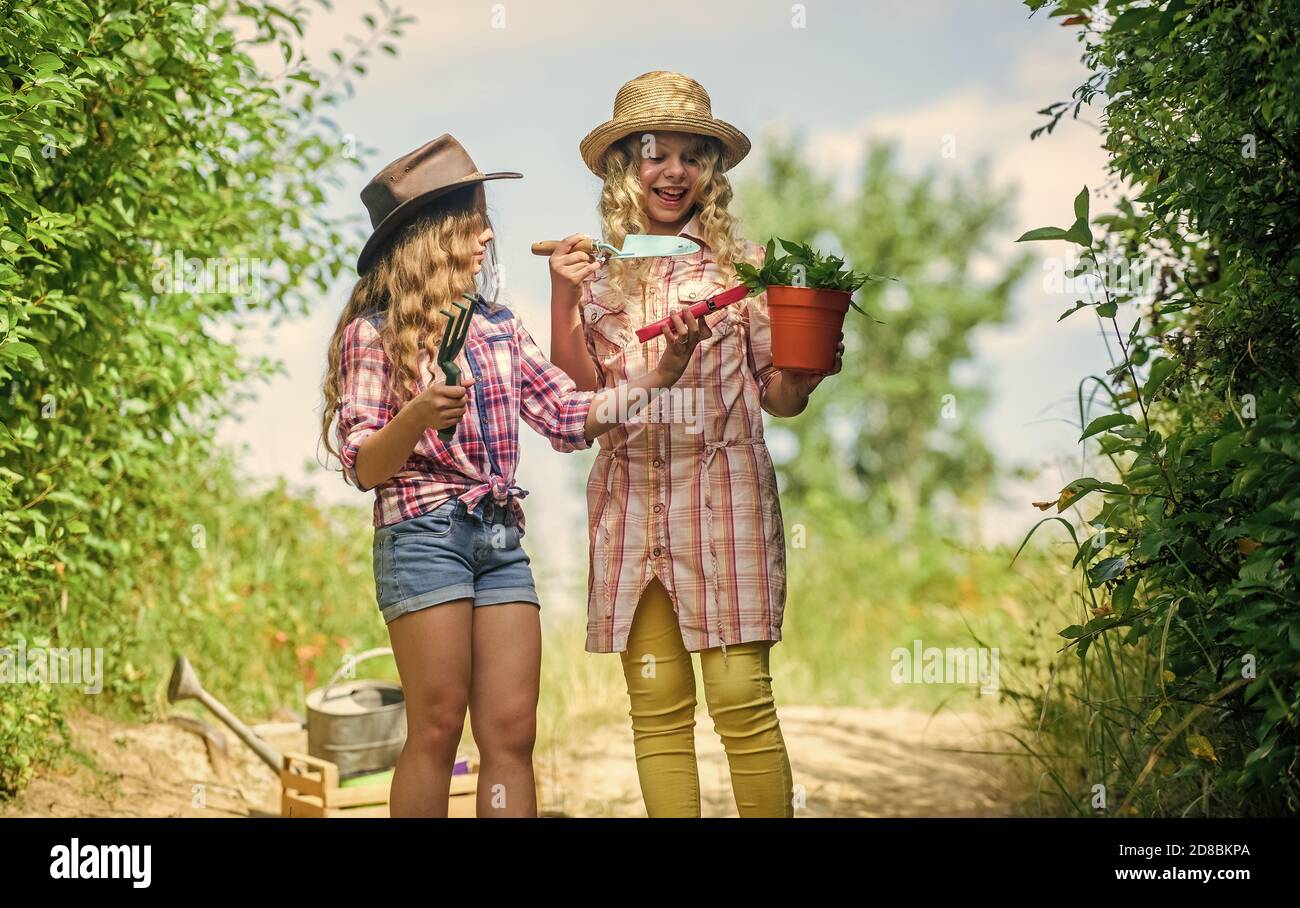 Eco farming concept. Girls with gardening tools. Sisters helping at ...