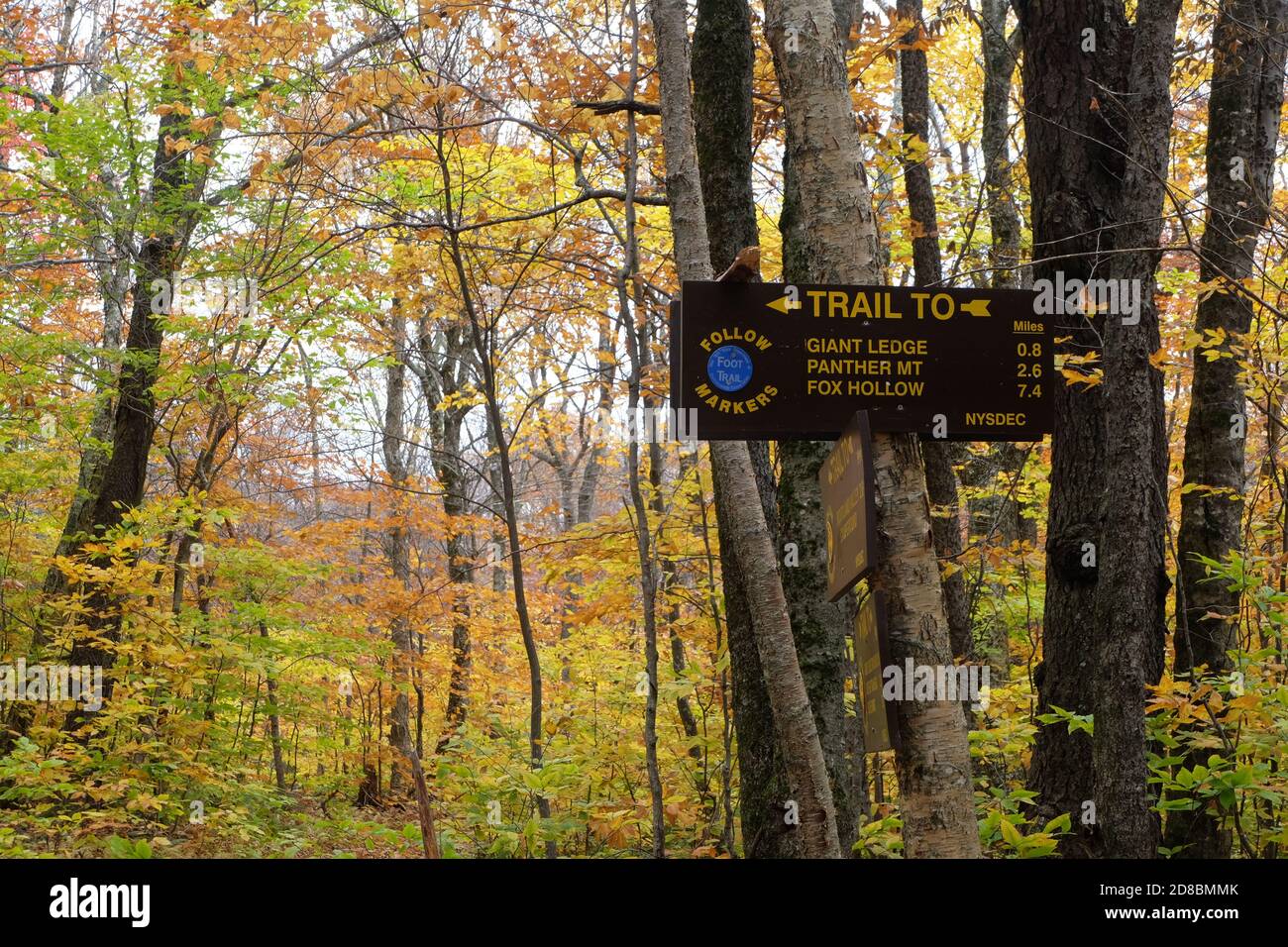 Giant ledge trail in the catskills, new york Stock Photo - Alamy