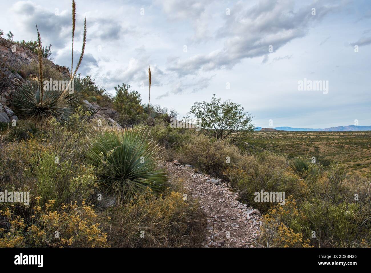 Kartchner caverns hi-res stock photography and images - Alamy