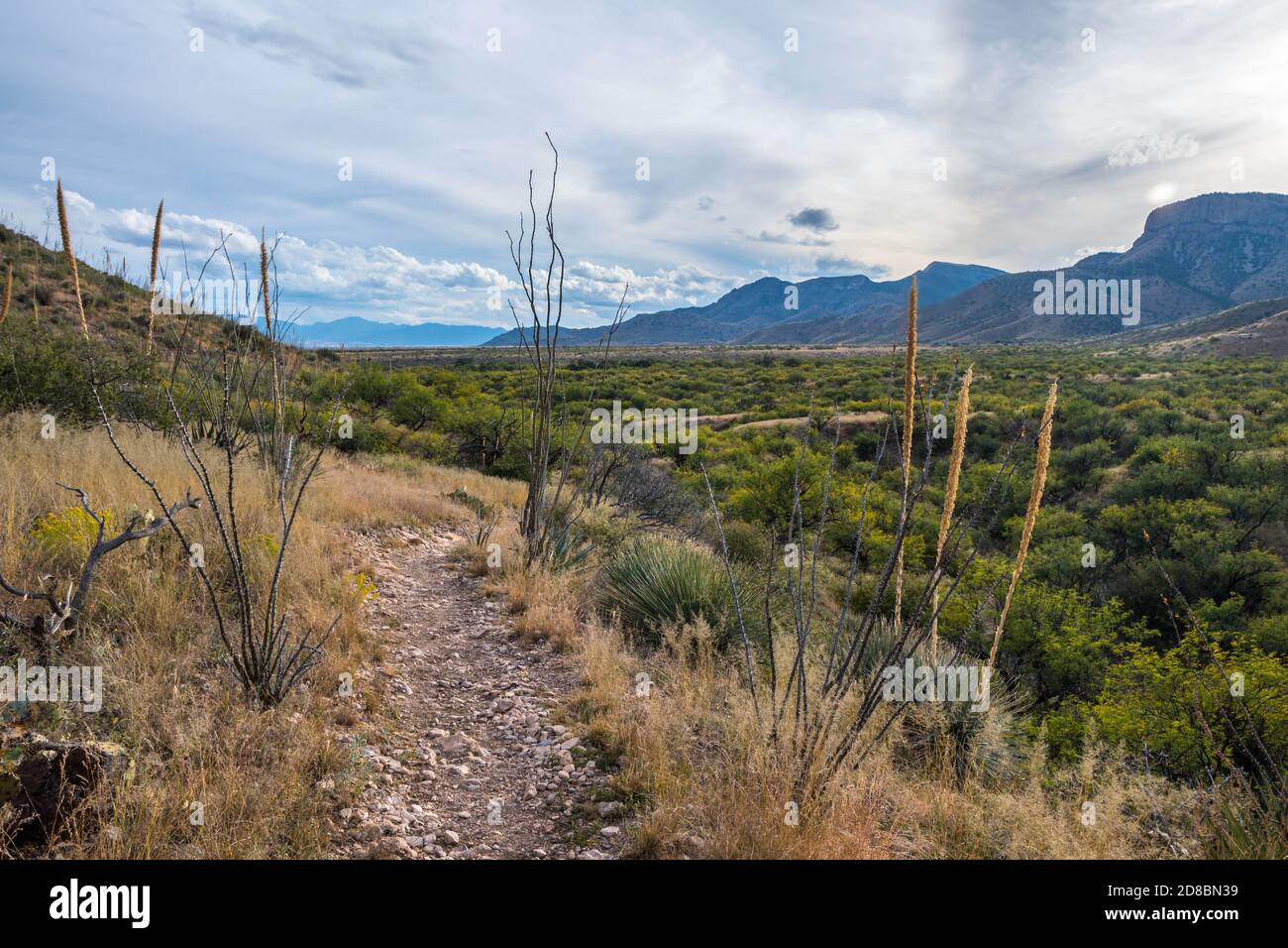 Kartchner caverns hi-res stock photography and images - Alamy