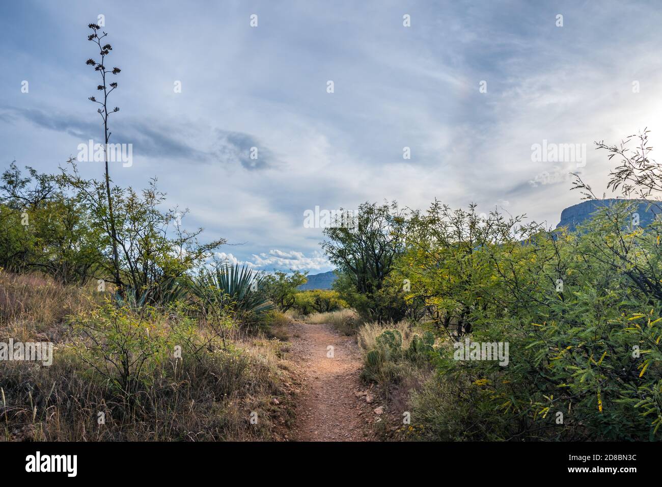 Kartchner caverns hi-res stock photography and images - Alamy