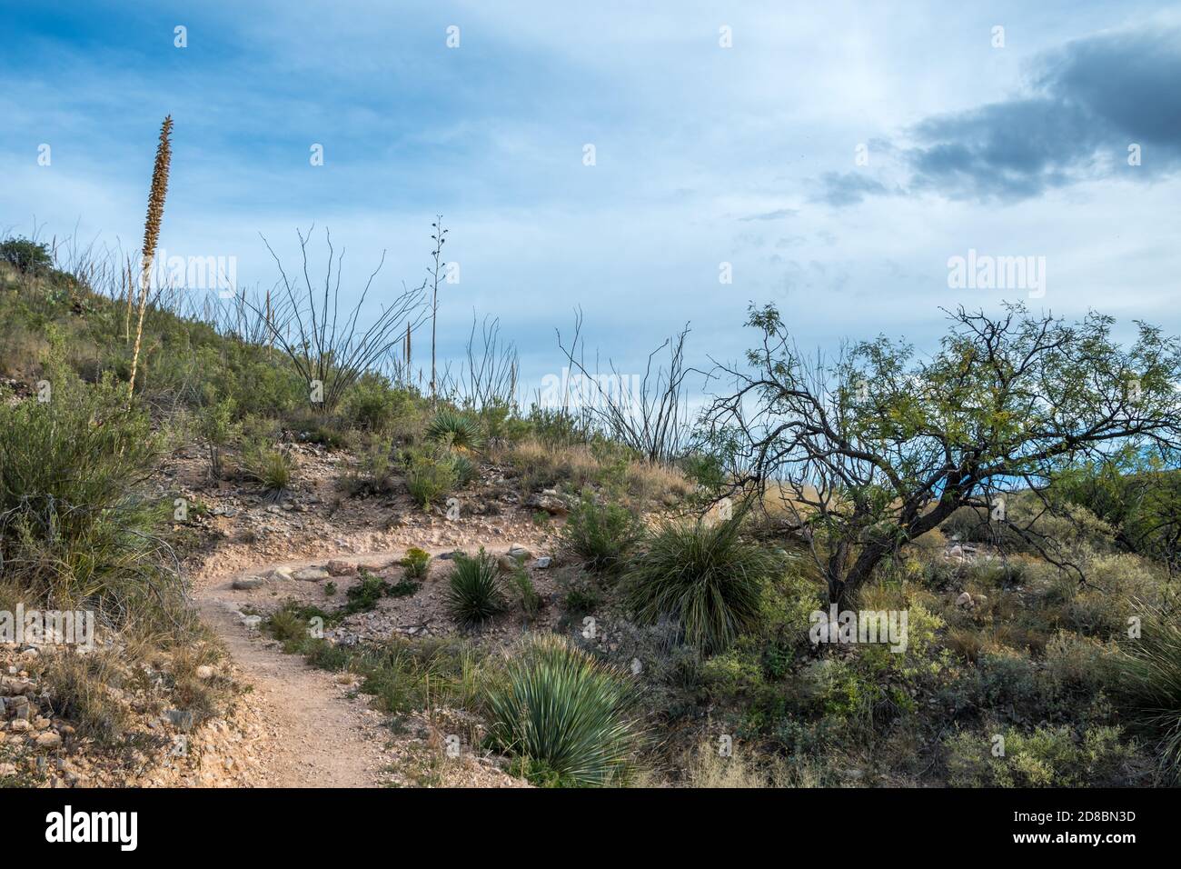 Kartchner caverns hi-res stock photography and images - Alamy