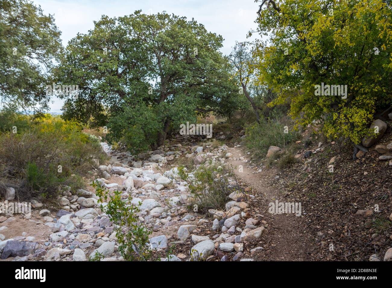 Kartchner caverns arizona hi-res stock photography and images - Alamy