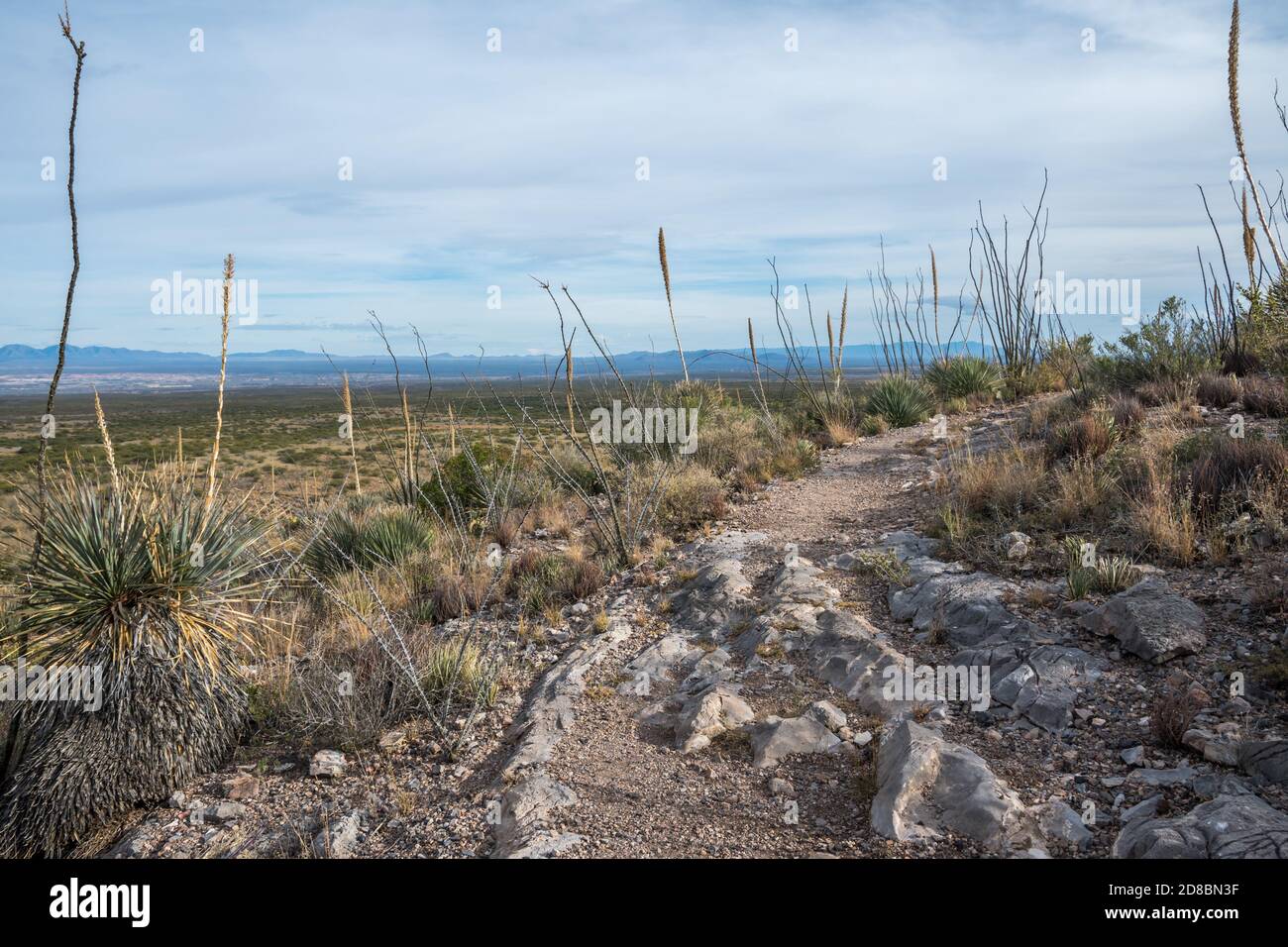 Kartchner caverns hi-res stock photography and images - Alamy