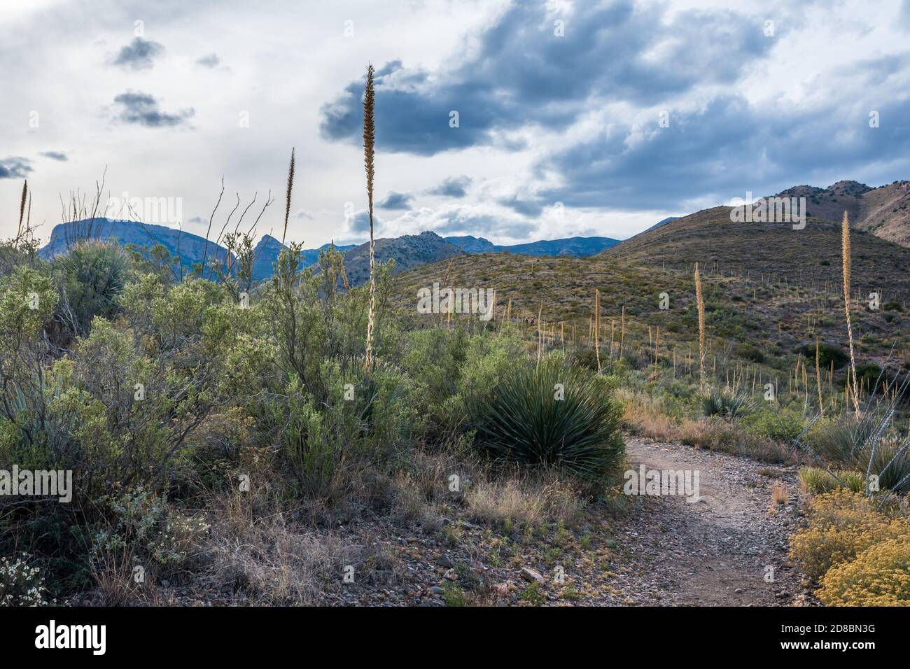 Kartchner caverns state park hi-res stock photography and images - Alamy