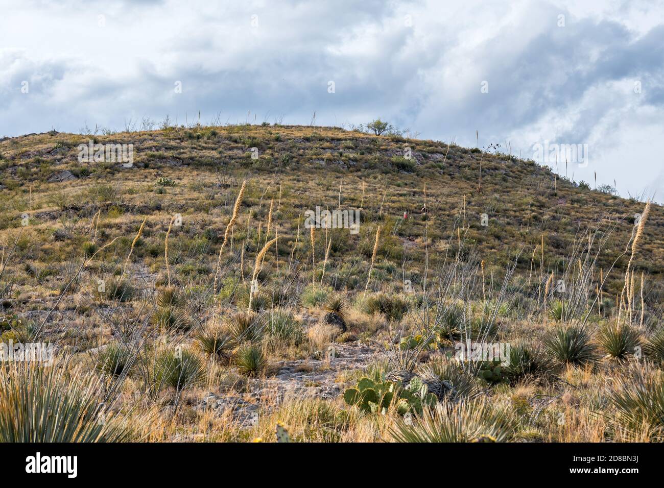 Kartchner caverns hi-res stock photography and images - Alamy