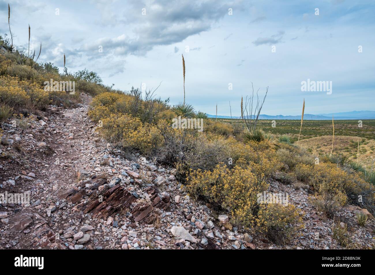 An overlooking view of Kartchner Caverns NP, Arizona Stock Photo - Alamy