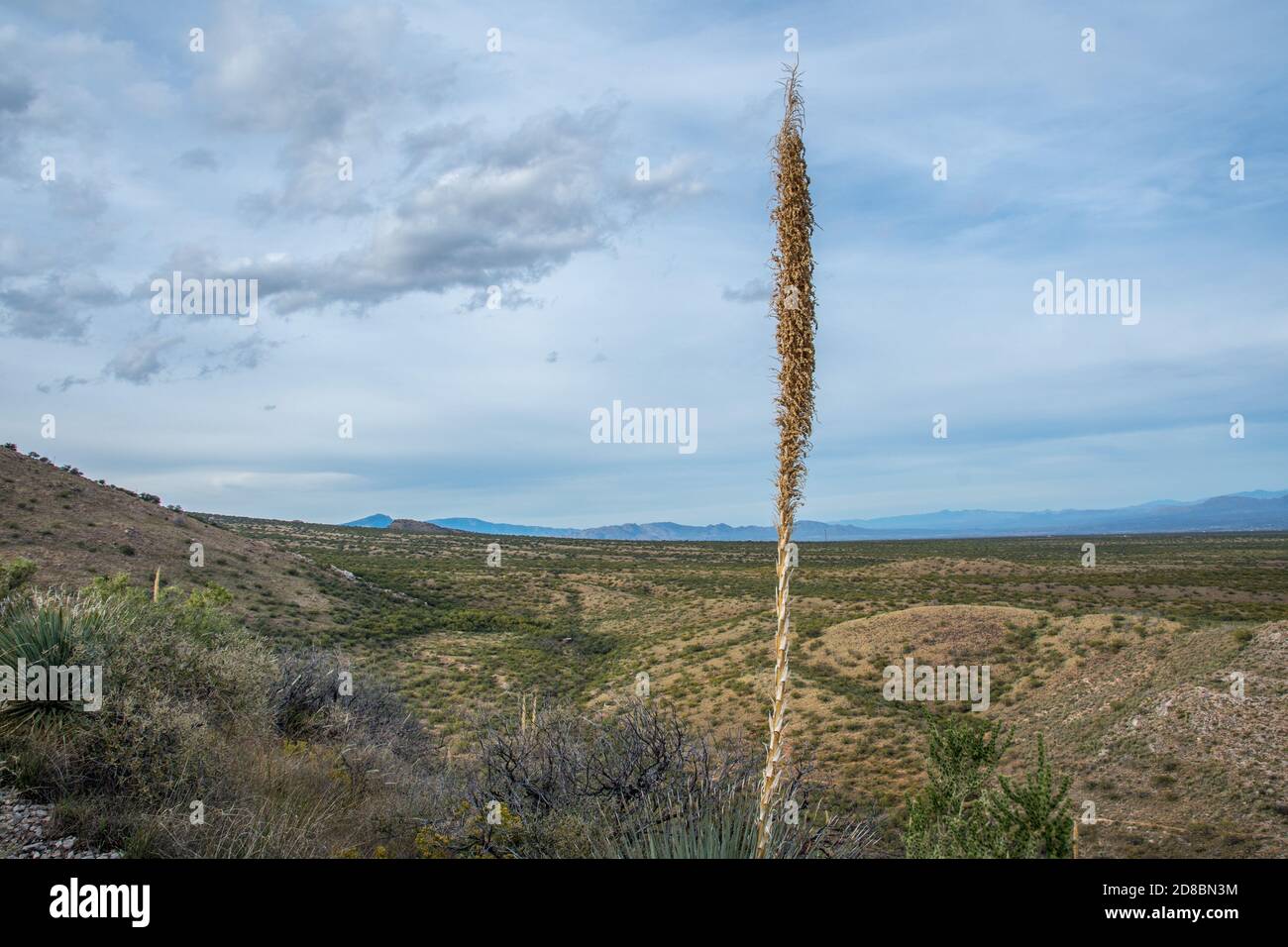 Kartchner caverns hi-res stock photography and images - Alamy