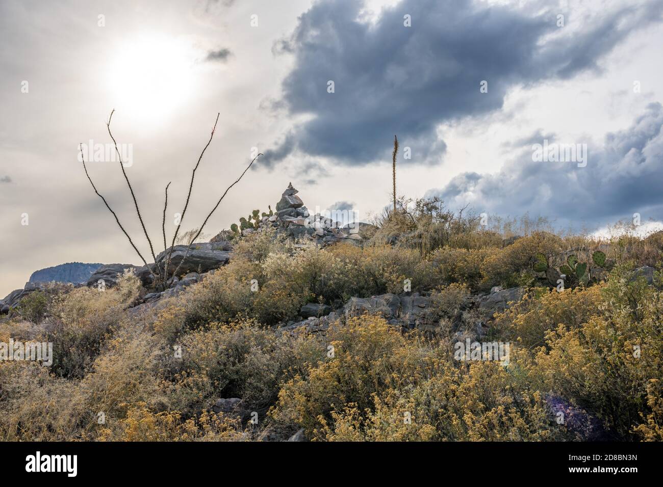 Kartchner caverns arizona hi-res stock photography and images - Alamy