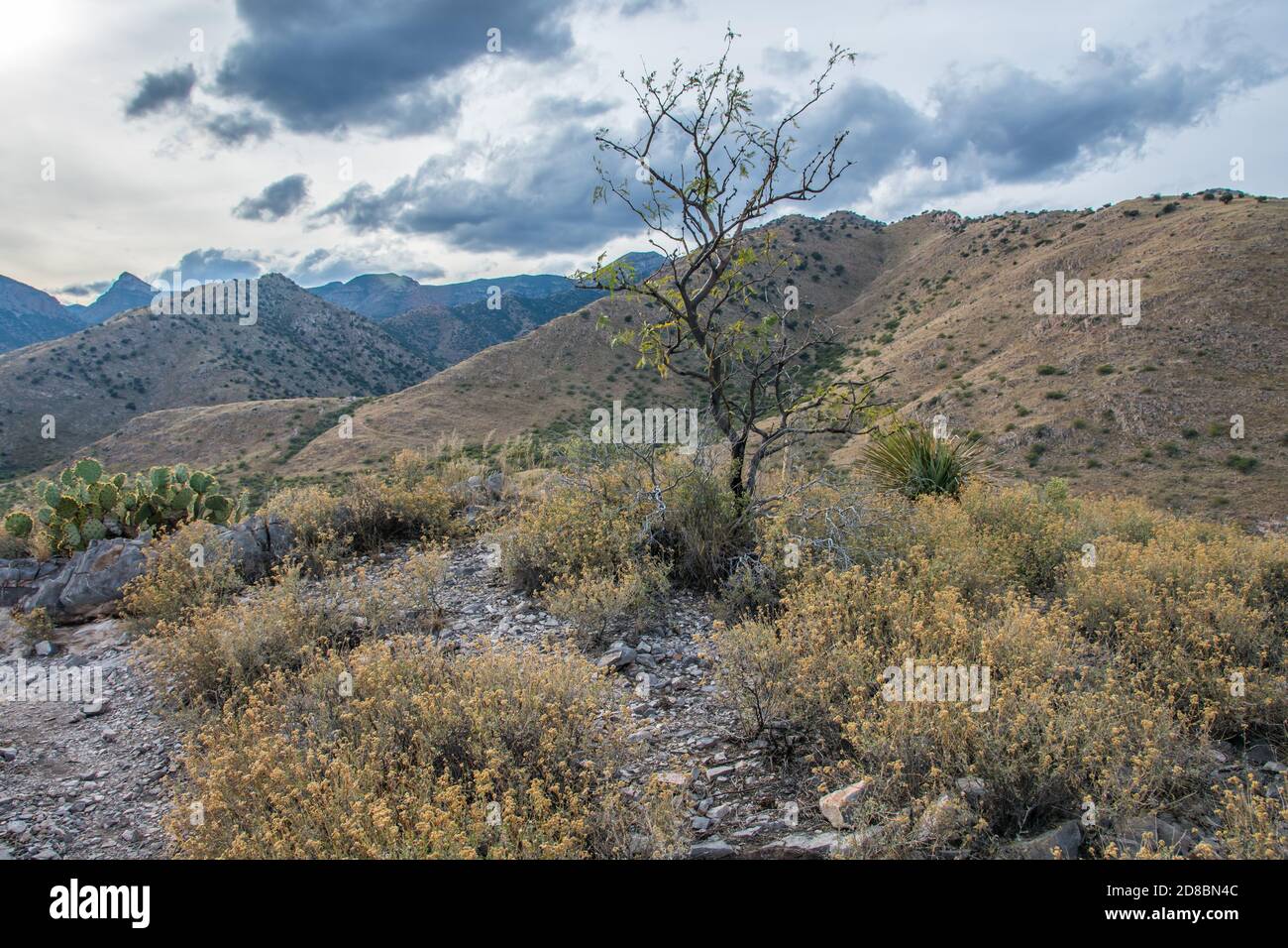 An overlooking view of Kartchner Caverns NP, Arizona Stock Photo - Alamy