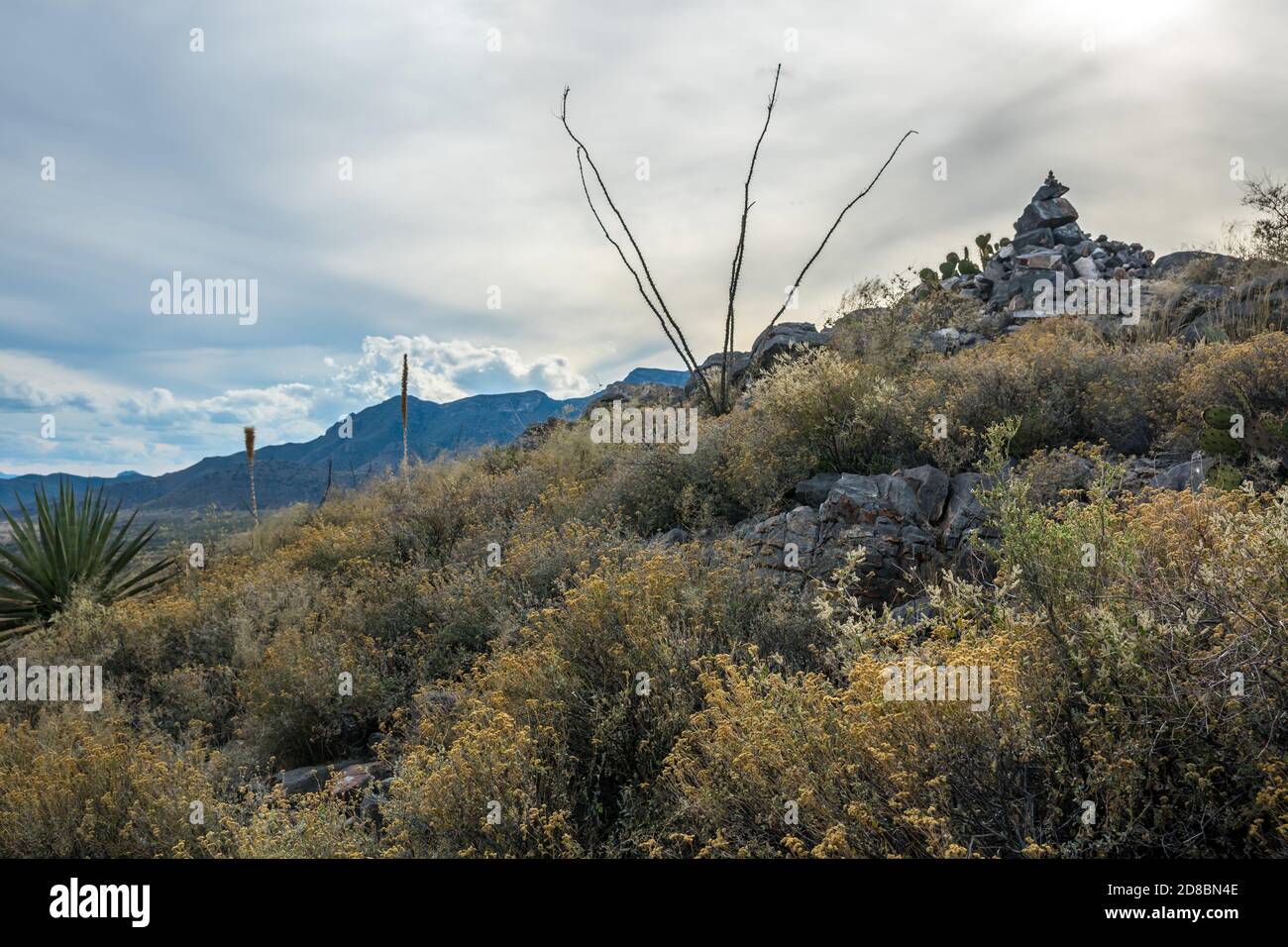 Kartchner caverns hi-res stock photography and images - Alamy