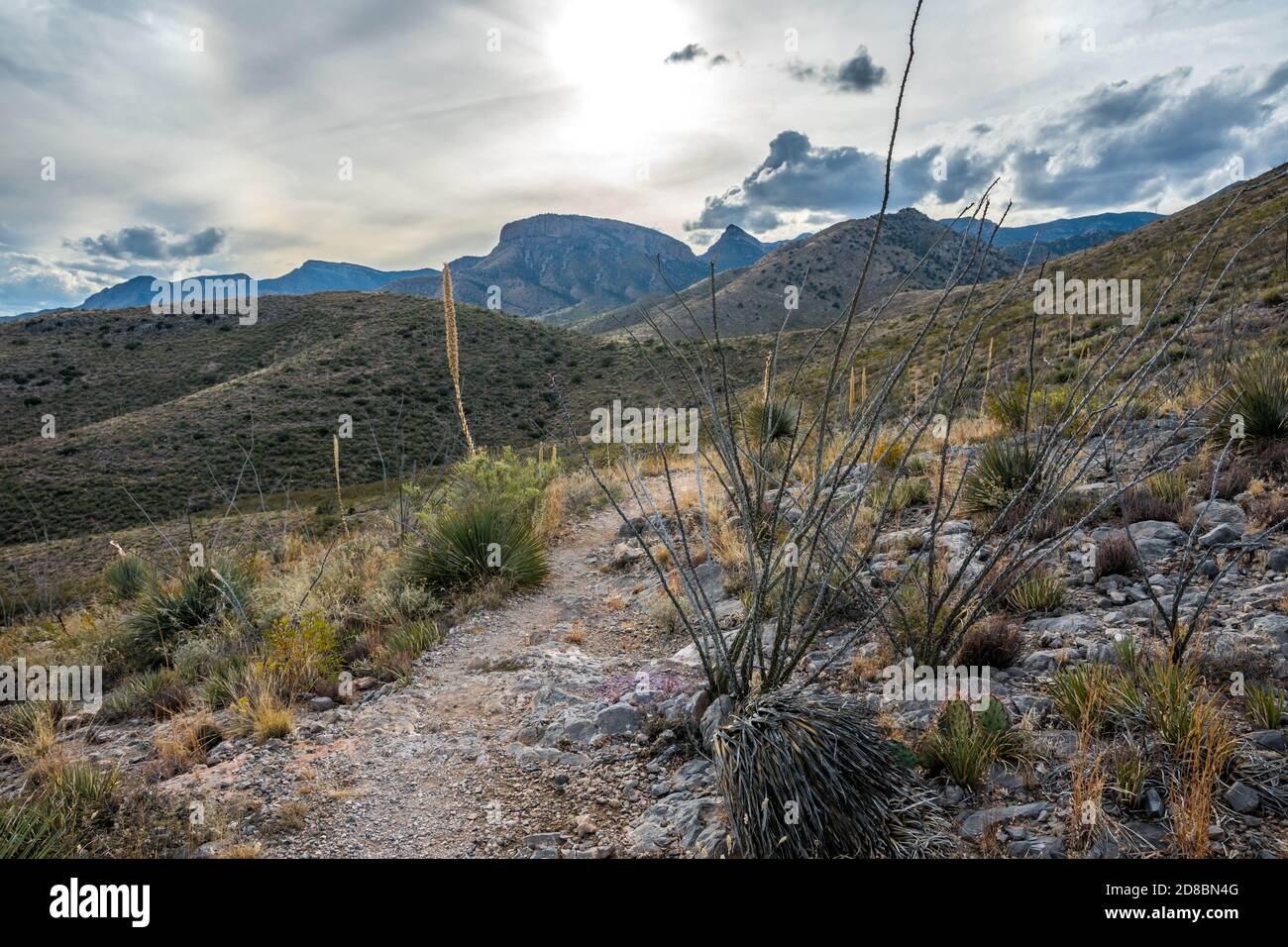 Kartchner caverns hi-res stock photography and images - Alamy