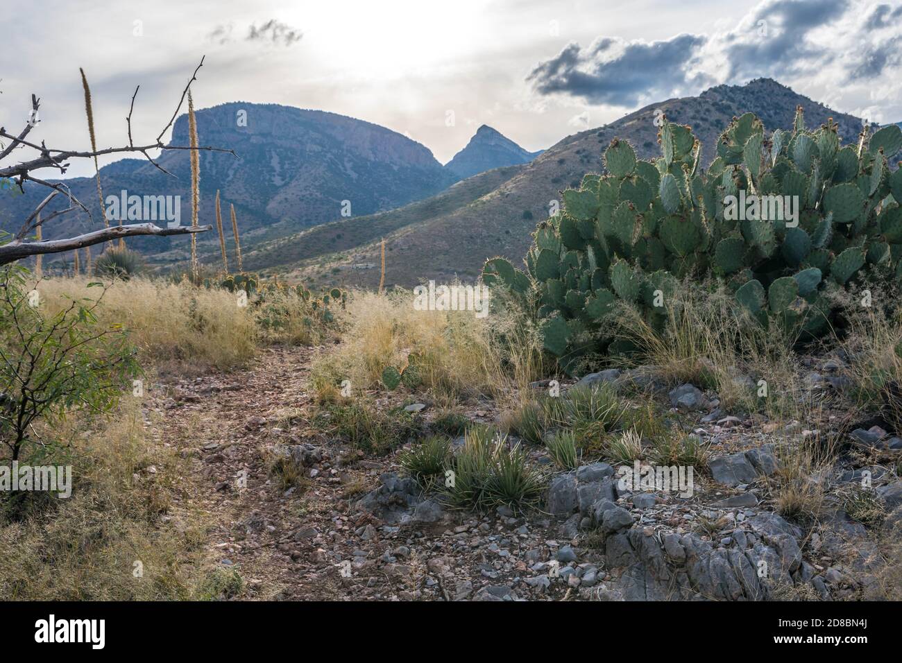 An overlooking view of Kartchner Caverns NP, Arizona Stock Photo - Alamy