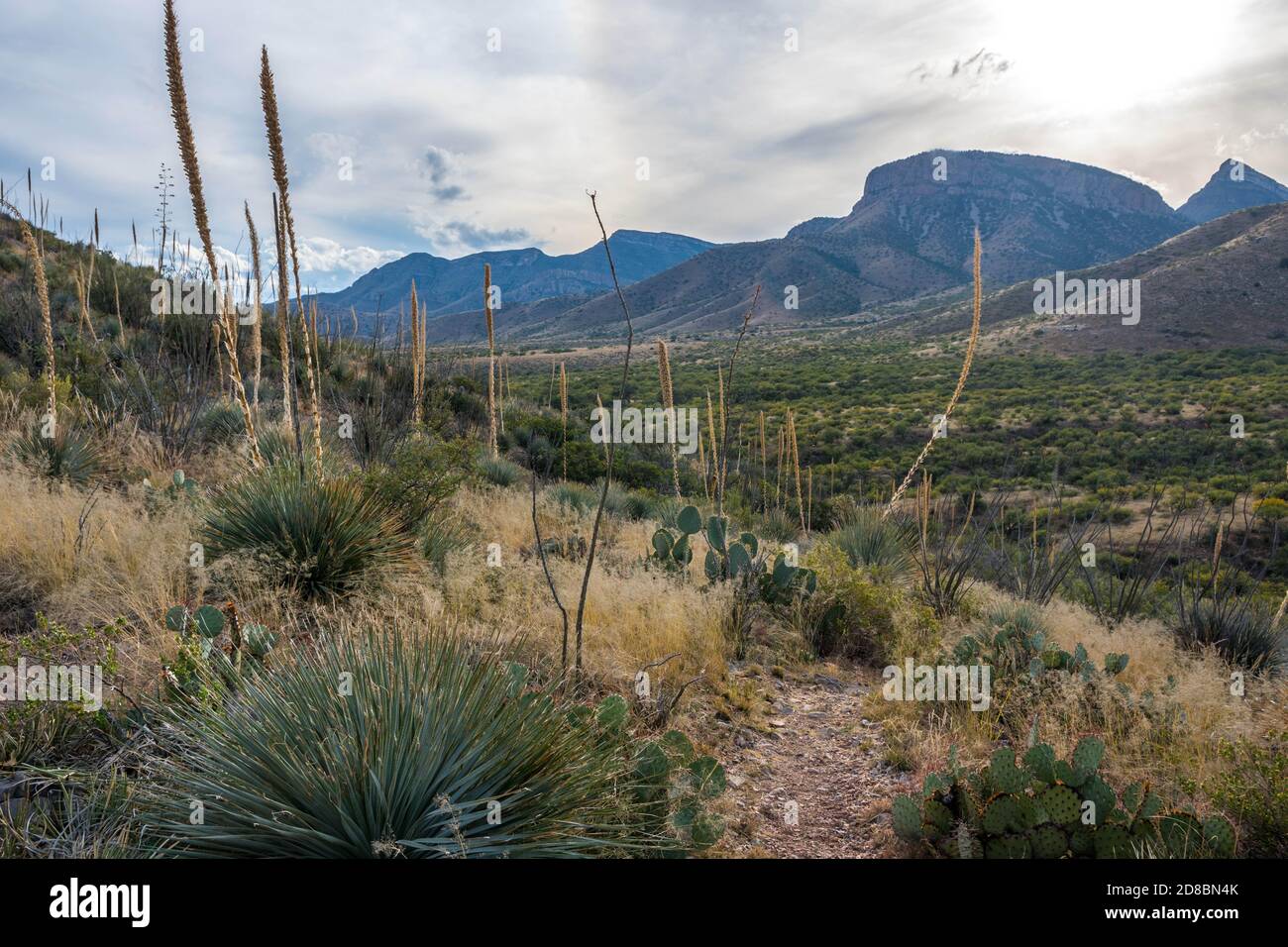 An overlooking view of Kartchner Caverns NP, Arizona Stock Photo - Alamy