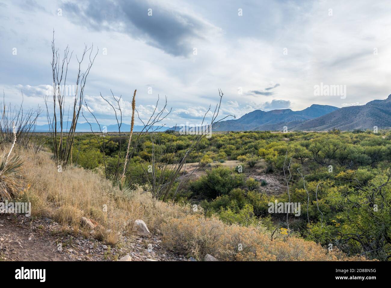 An overlooking view of Kartchner Caverns NP, Arizona Stock Photo - Alamy
