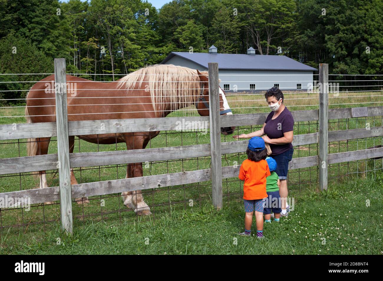 Animals and humans interact at The Farm in Sturgeon Bay, Wisconsin, USA ...