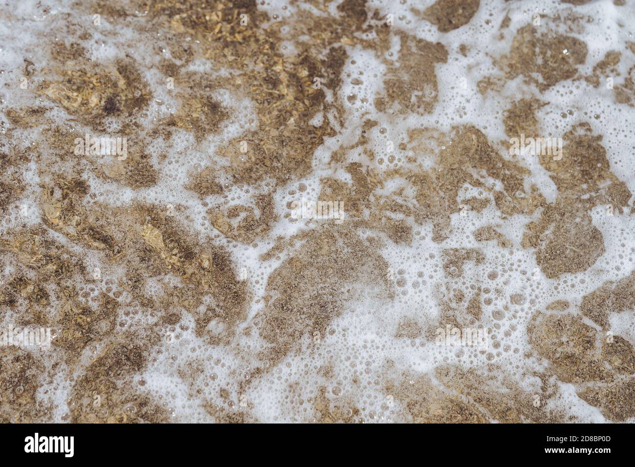 Foamy water surface with bubbles on sand background. Transparent ...