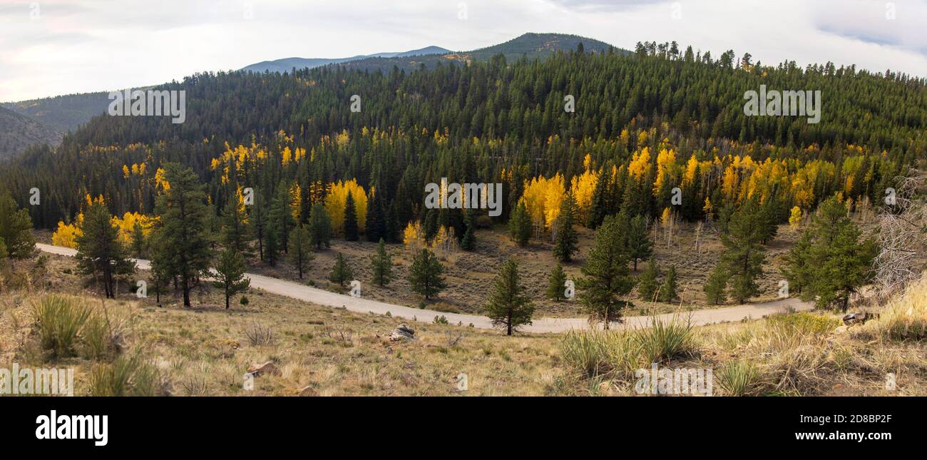 Fall 2020 along Marshall Pass, Colorado Stock Photo - Alamy