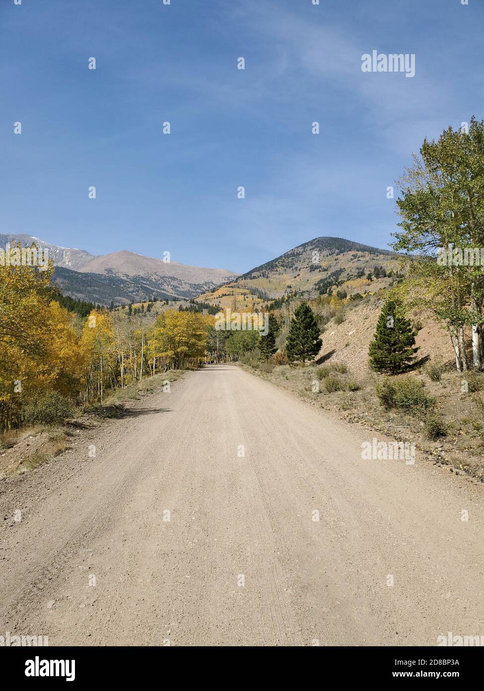 Fall 2020 along Marshall Pass, Colorado Stock Photo - Alamy