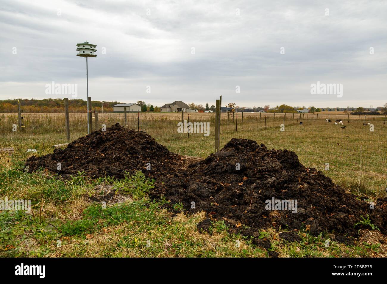 Purple martin bird house hi-res stock photography and images - Alamy
