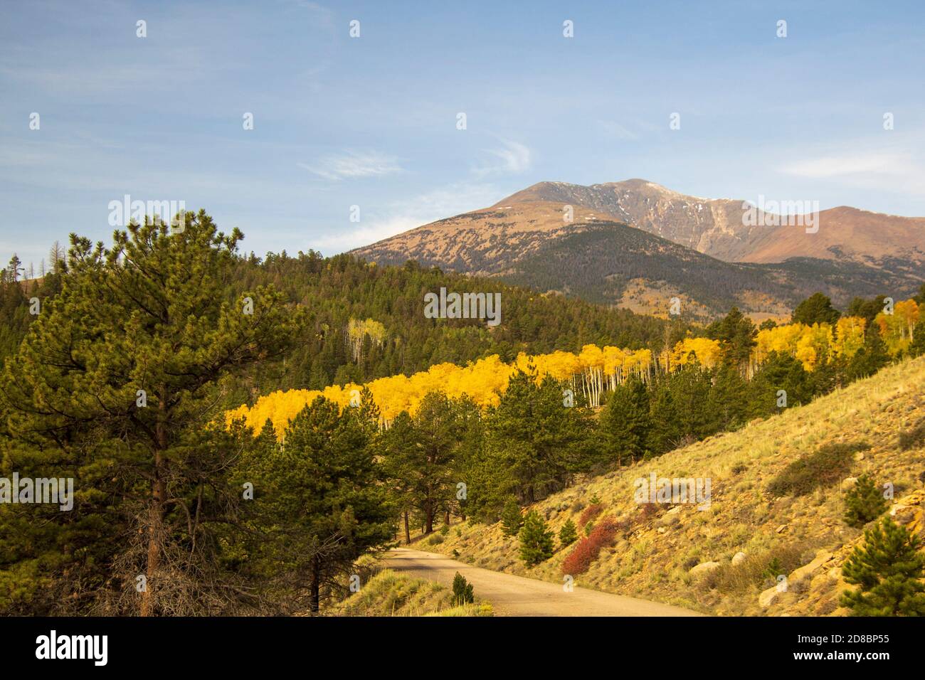 Fall 2020 along Marshall Pass, Colorado Stock Photo - Alamy