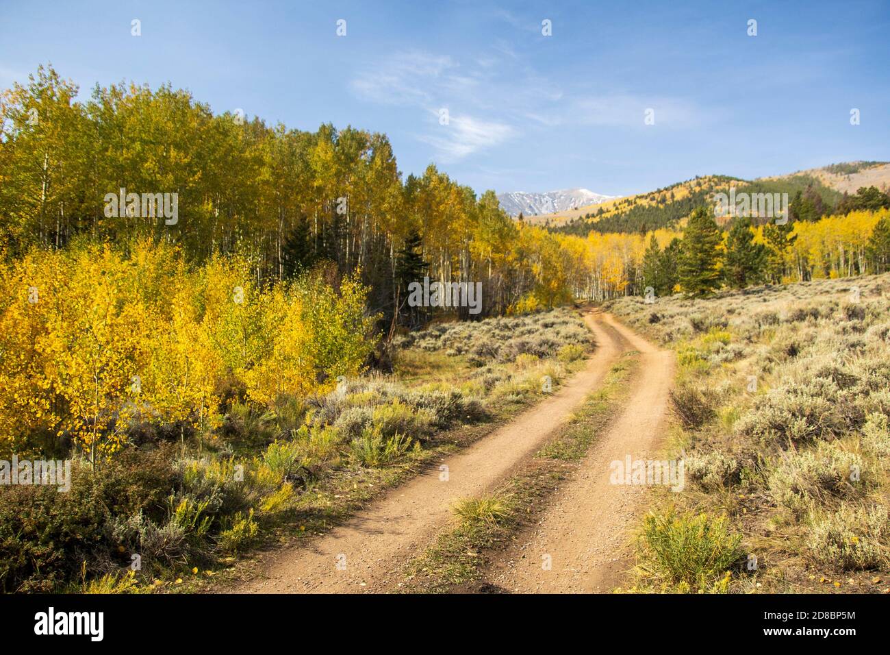 Fall 2020 along Marshall Pass, Colorado Stock Photo - Alamy