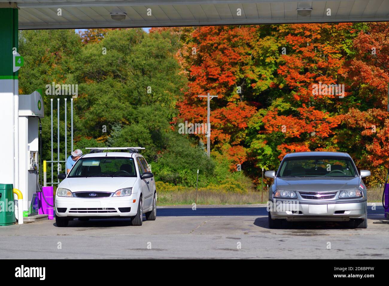 Copemish, Michigan, USA. The changing colors of the leaves on the trees ...