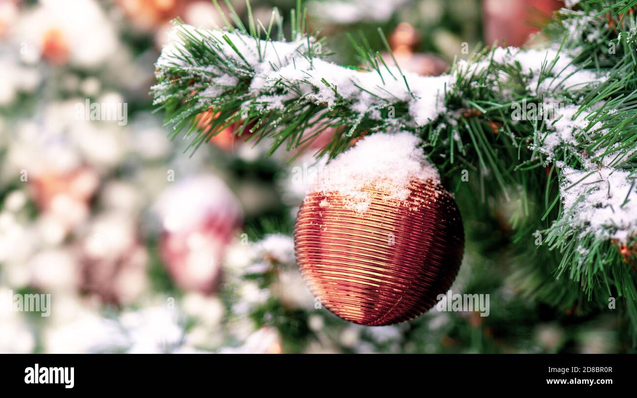 Closeup of a shiny toy on the snowy Christmas tree branch Stock Photo ...