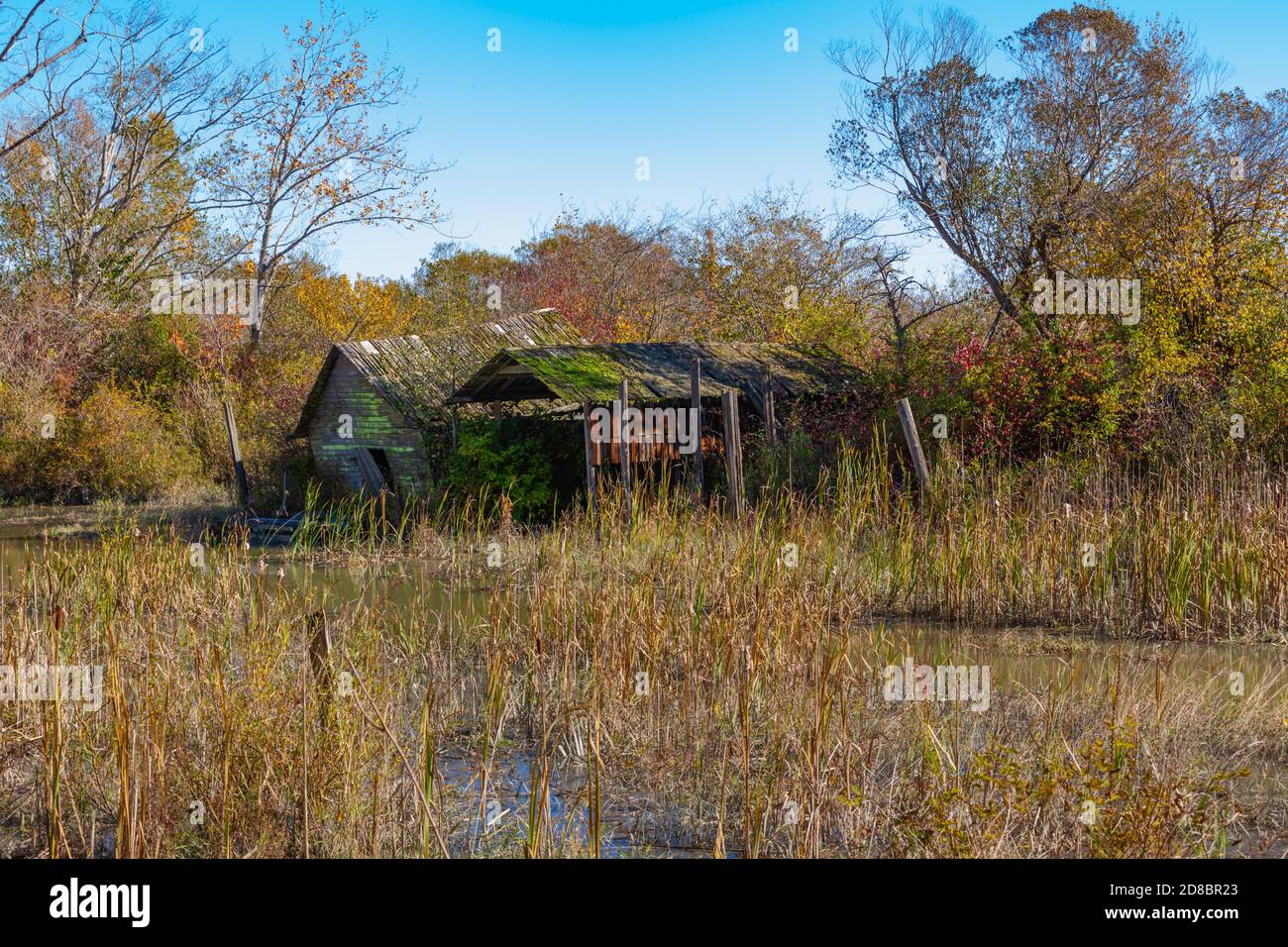 Derelict wooden boathouses in the coastal community of Finn Slough at ...