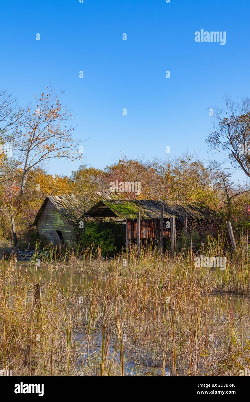 Derelict wooden boathouses in the coastal community of Finn Slough at ...