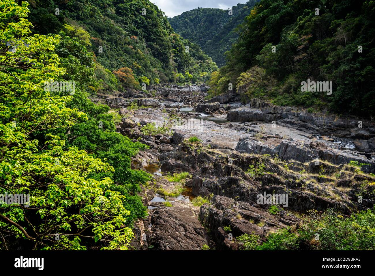 Barron river in dry season, Barron River Gorge, Cairns, North ...