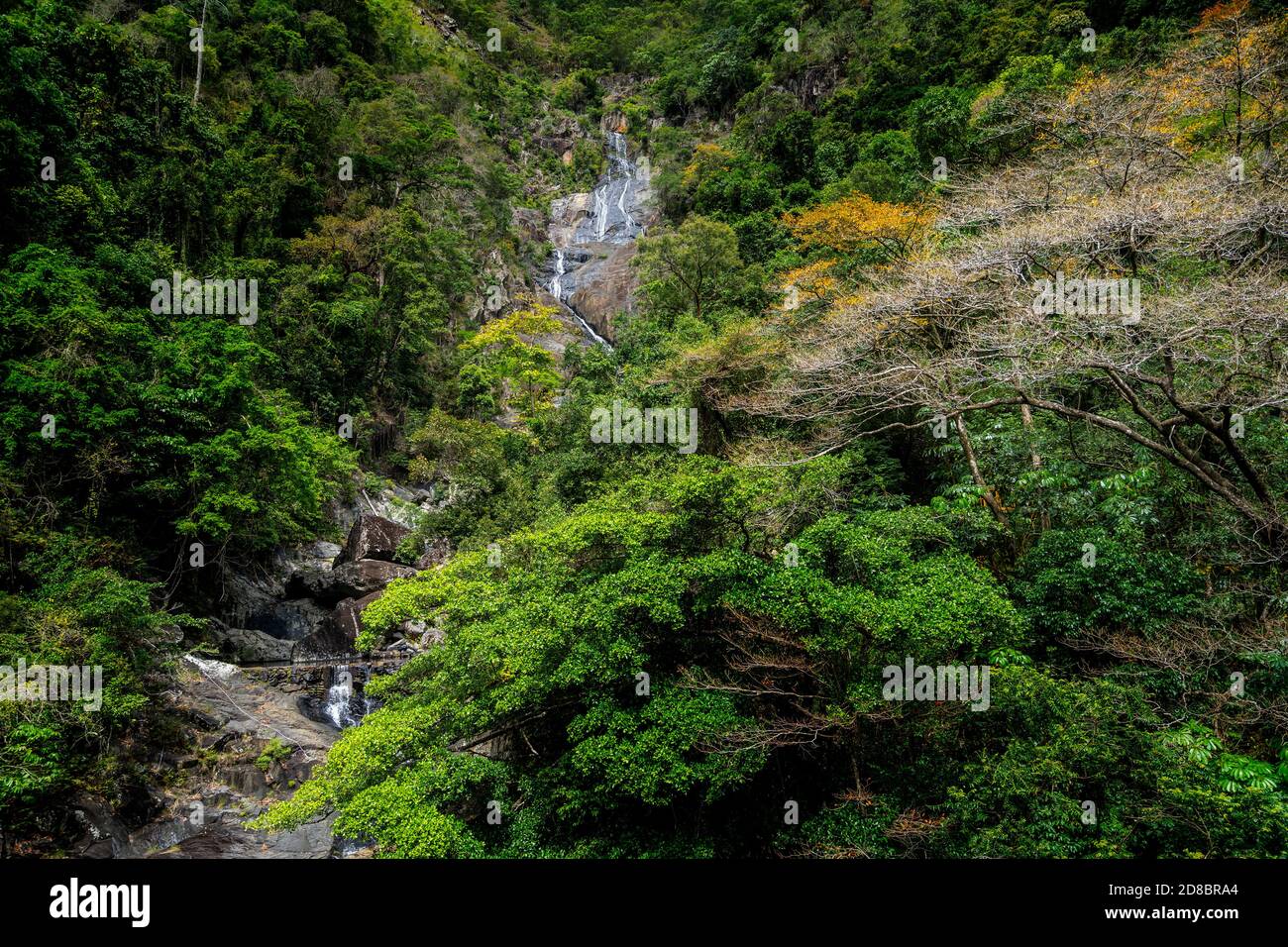 Surprise Creek Falls in Barron river Gorge near Cairns, North ...