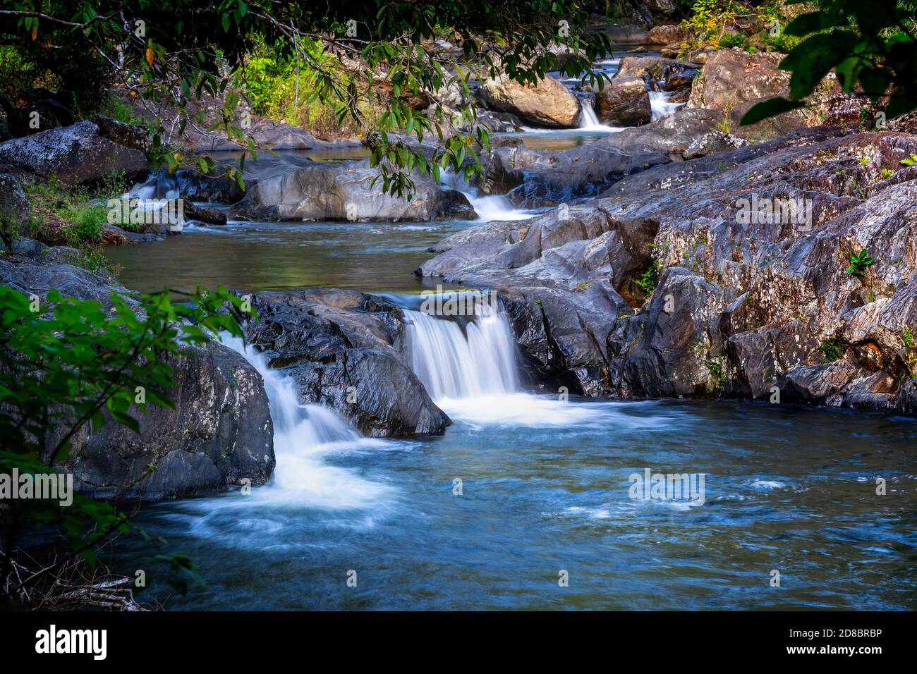 Rainforest attraction hi-res stock photography and images - Alamy