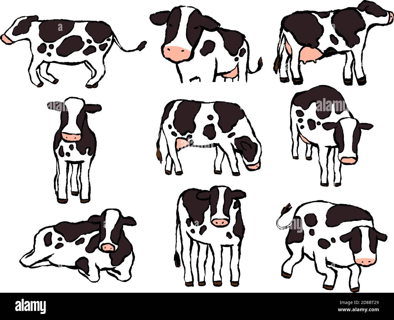 Holstein Cow Graphic