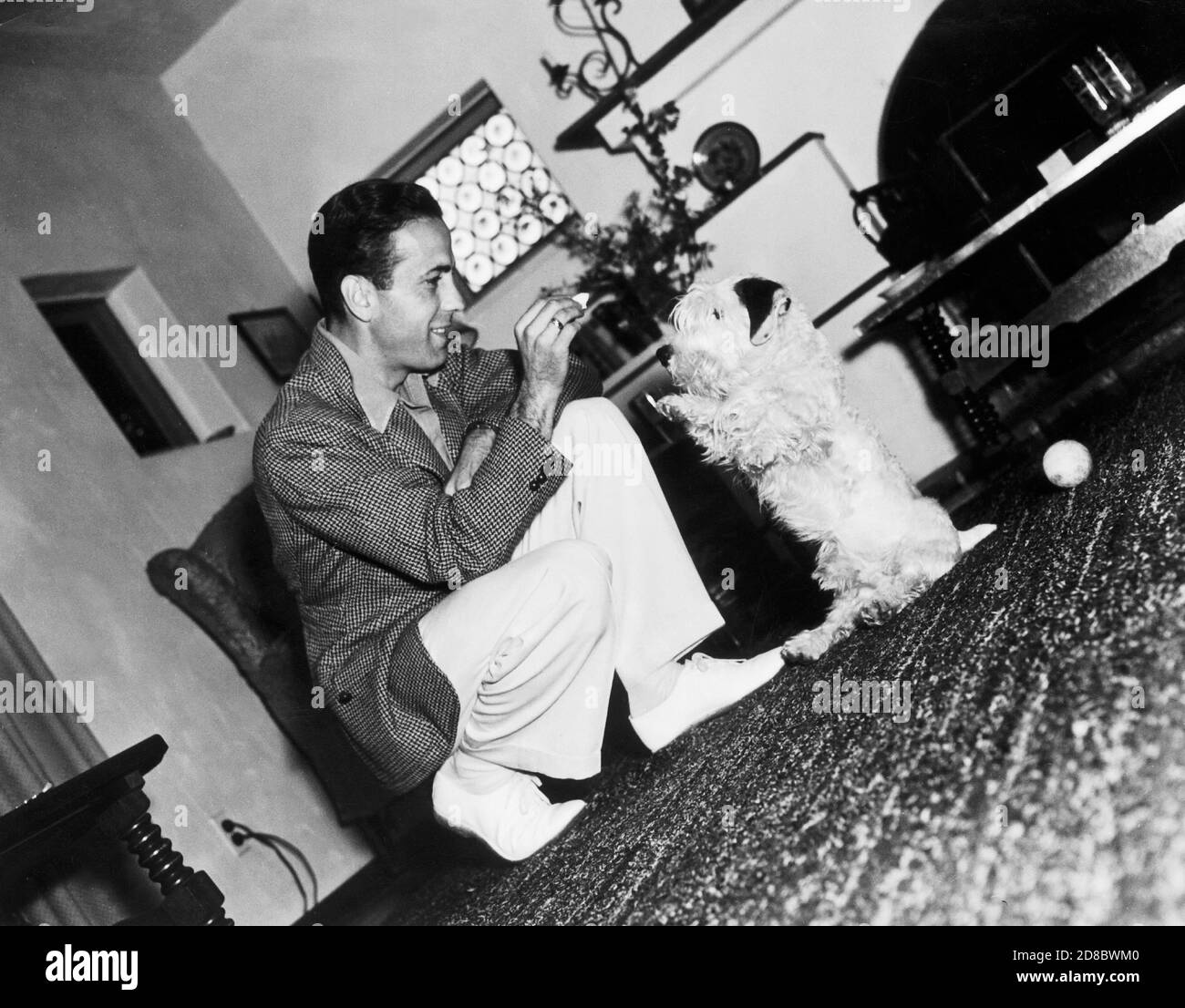 Humphery Bogart and Butch the dog, at home, circa 1937 / File Reference ...