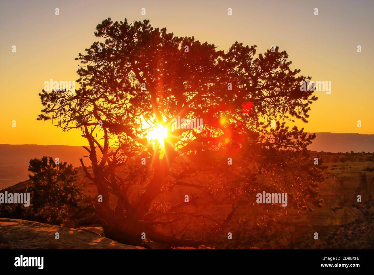 Sunset at Colorado National Monument, Grand Junction, USA Stock Photo ...