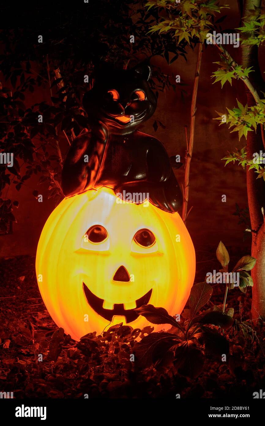 Black Cat Leaning on Jack O Lantern Glowing in the Dark Stock Photo - Alamy
